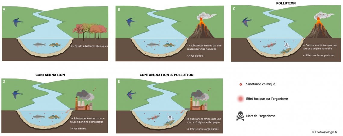 Quelques notions clés sur la pollution et les polluants : définitions ...