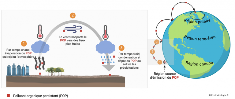 Quelques notions clés sur la pollution et les polluants : définitions ...