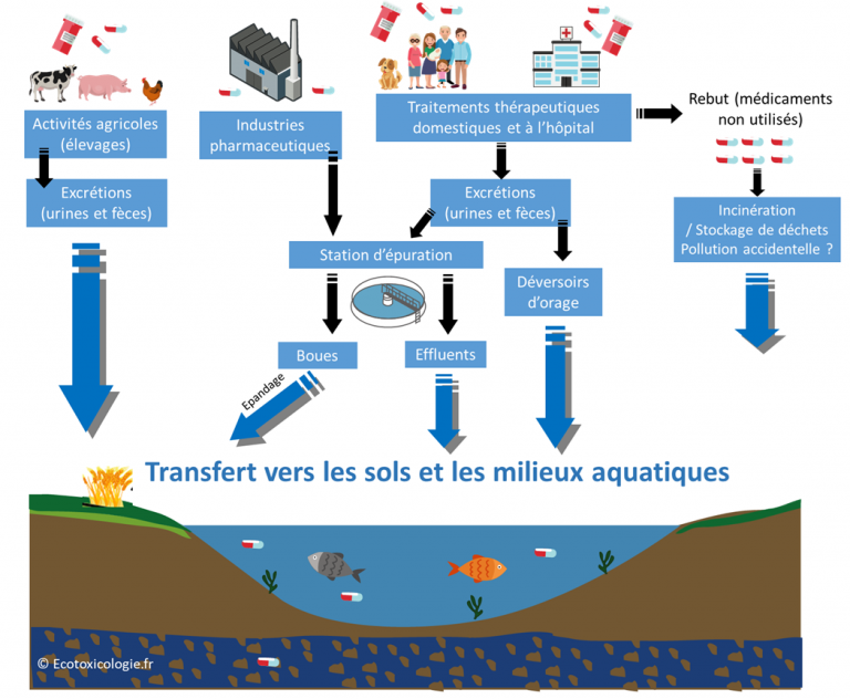 Quelques notions clés sur la pollution et les polluants : définitions ...
