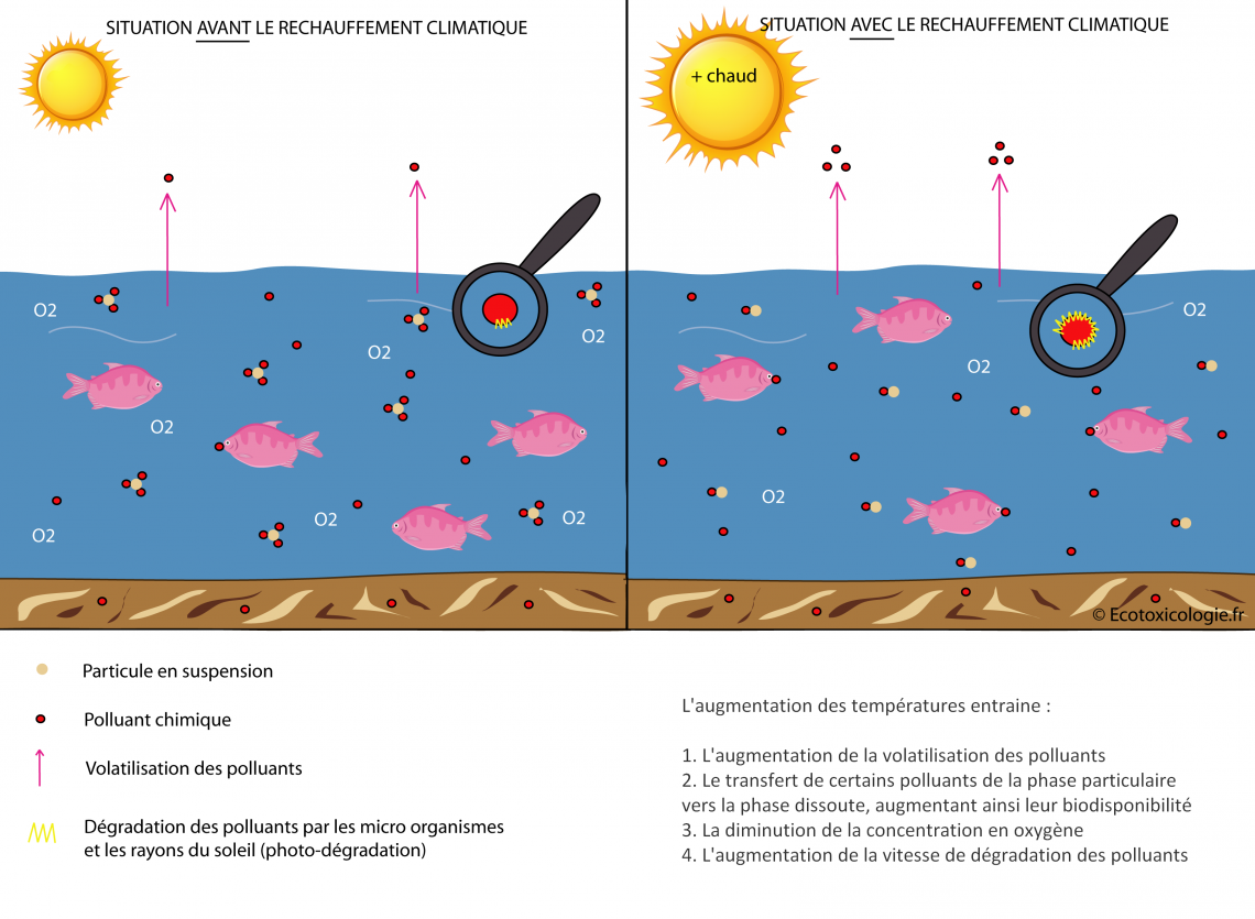 Changement climatique : vers des eaux plus polluées et des polluants plus toxiques ...