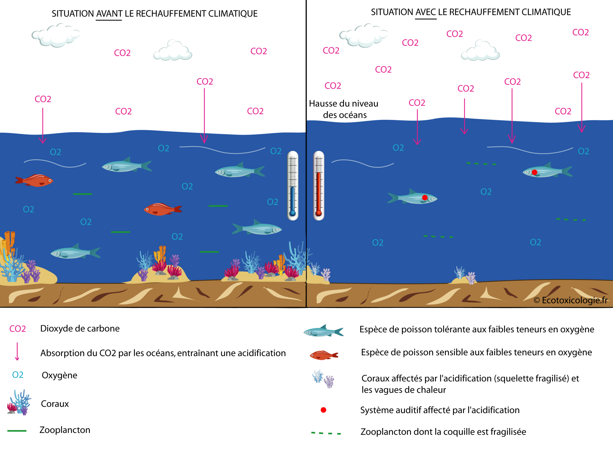 Le changement climatique aggrave l'érosion de la biodiversité ...