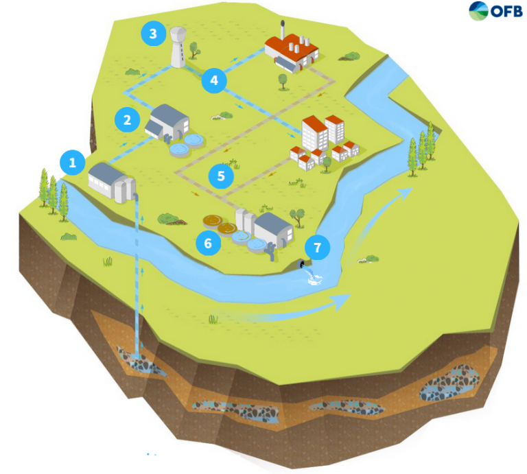 Le petit cycle de l'eau "pour les nuls" - Ecotoxicologie.fr